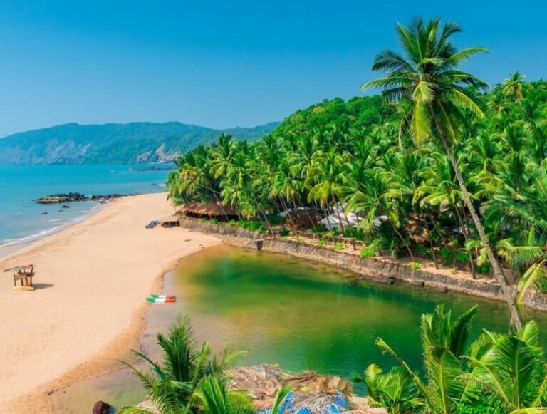 Best Things to do in South Goa