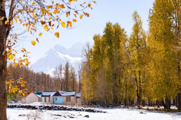 Things to Know Before Your Sissu Valley Trip