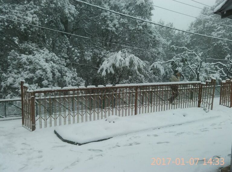 Top 10 Places to Catch Snowfall in Uttarakhand